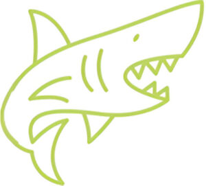 The Simply Salad – Soch Swad Aur Sehat Ka Samanvay Hai – “The Simply Salad”